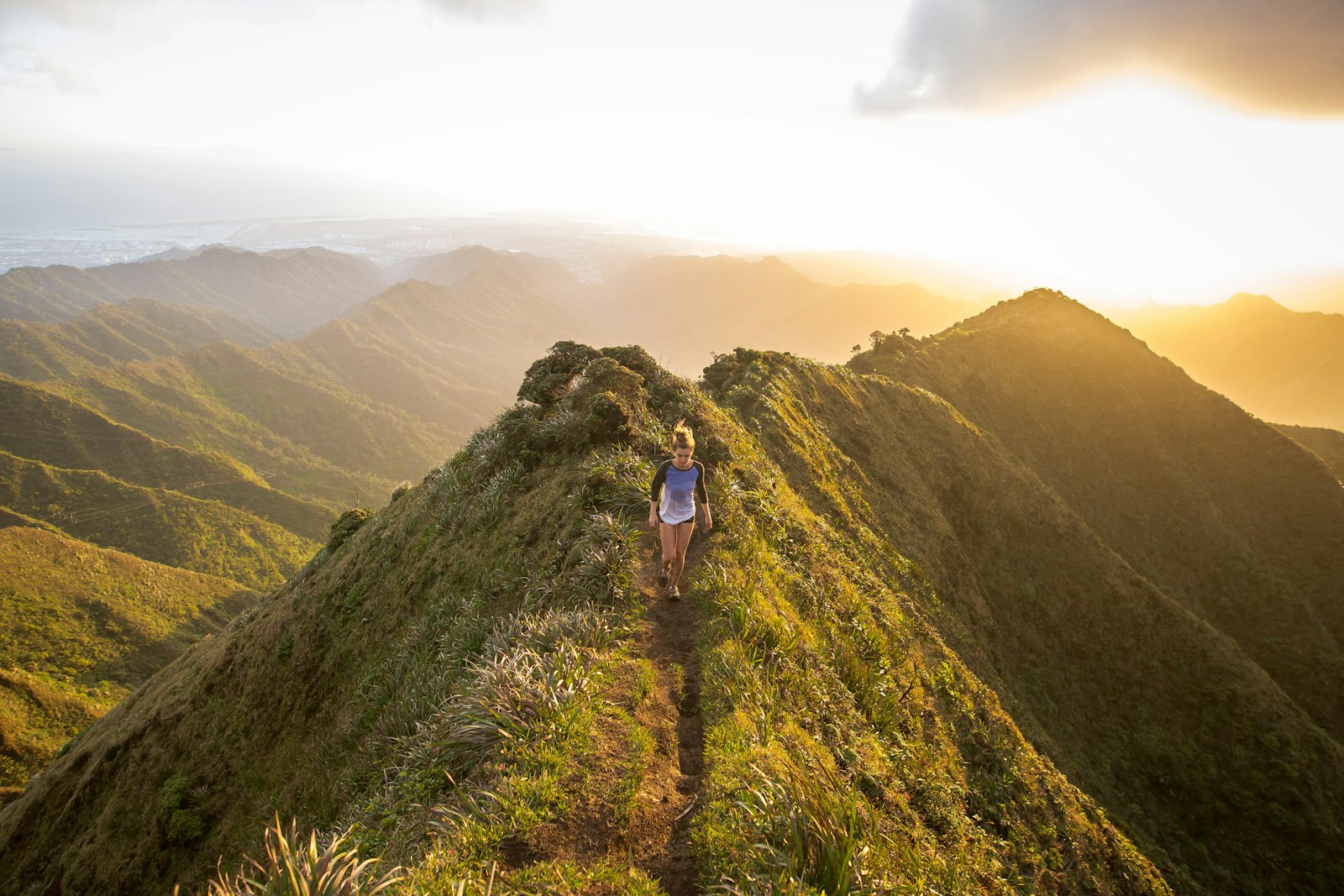 Top Self-Employed Career Paths & Opportunities for 2026: Expert Guide ...
