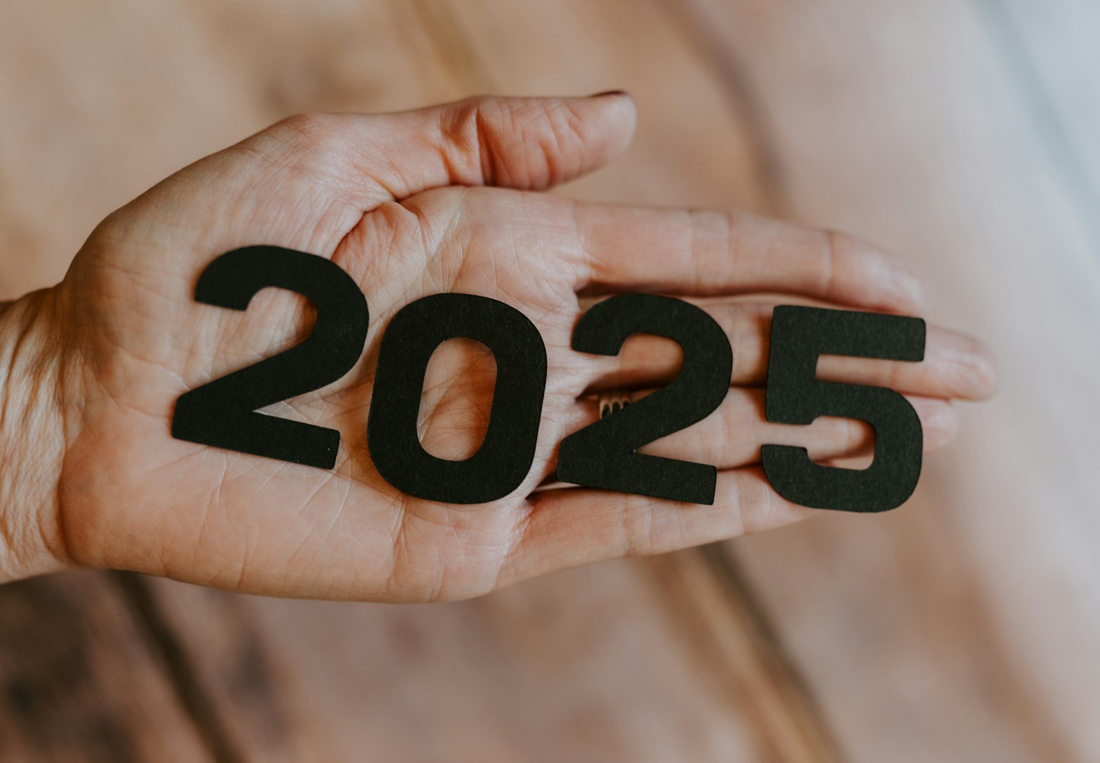Plan sponsors brace for 2025 challenges