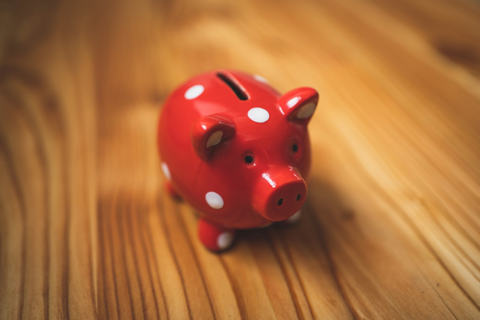 Solo 401k Roth Catch-Up Rule: What to Know in 2026