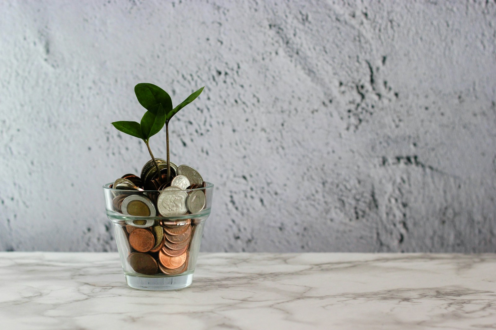 Solopreneur Business Growth Hits Record Highs in 2026