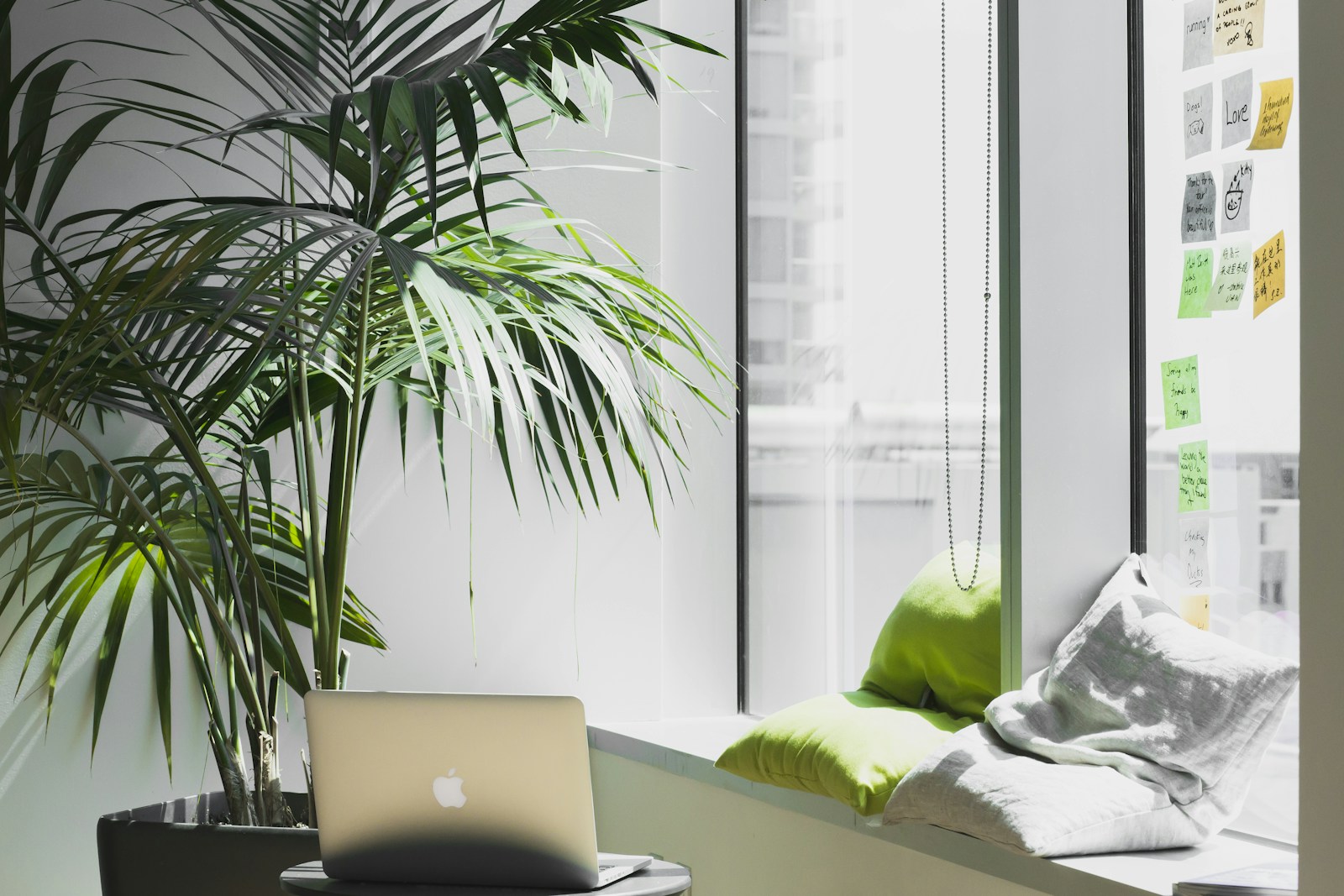 Shopify AI Toolkit 2026: Solopreneur Guide