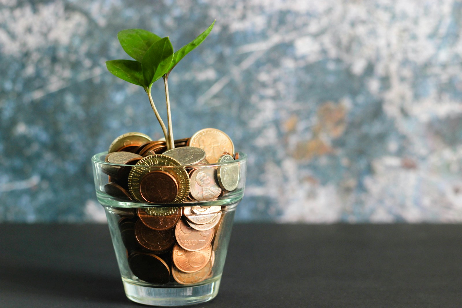 What Is a Backdoor Roth IRA? Self-Employed Guide